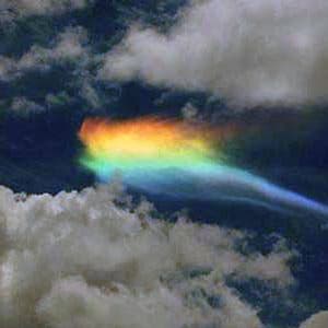 M. Murray | Writer for Ranker