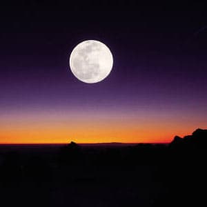 Walter Graves | Writer for Ranker