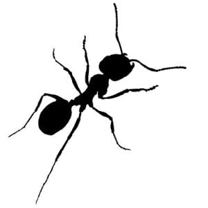 Jeremy Engel | Writer for Ranker