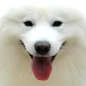 Kaitlynn Boot | Writer for Ranker