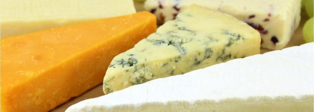 Best Hard Cheeses | List of Hard Cheese Varieties