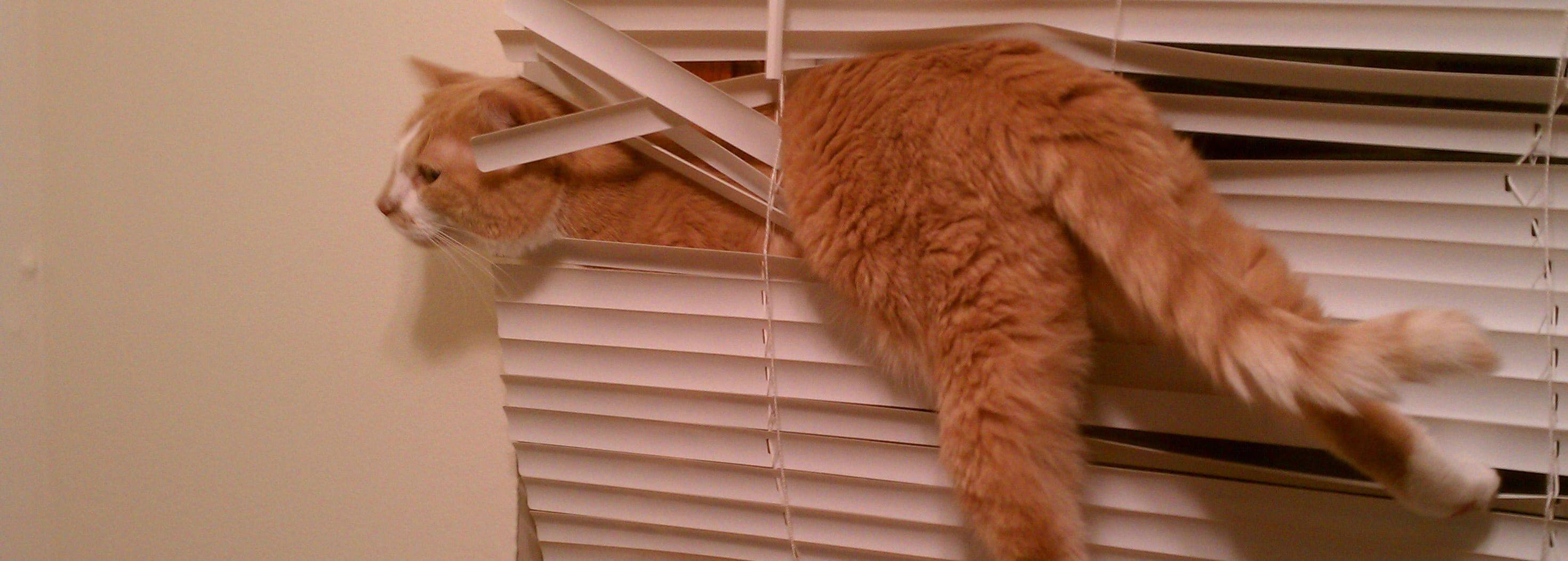 50 Infuriating Images That Will Trigger Your OCD