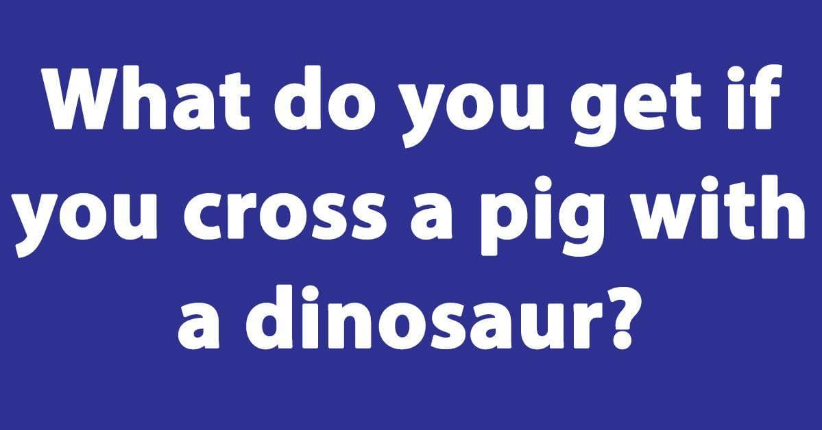 The 20+ Best Pig Jokes, Ranked