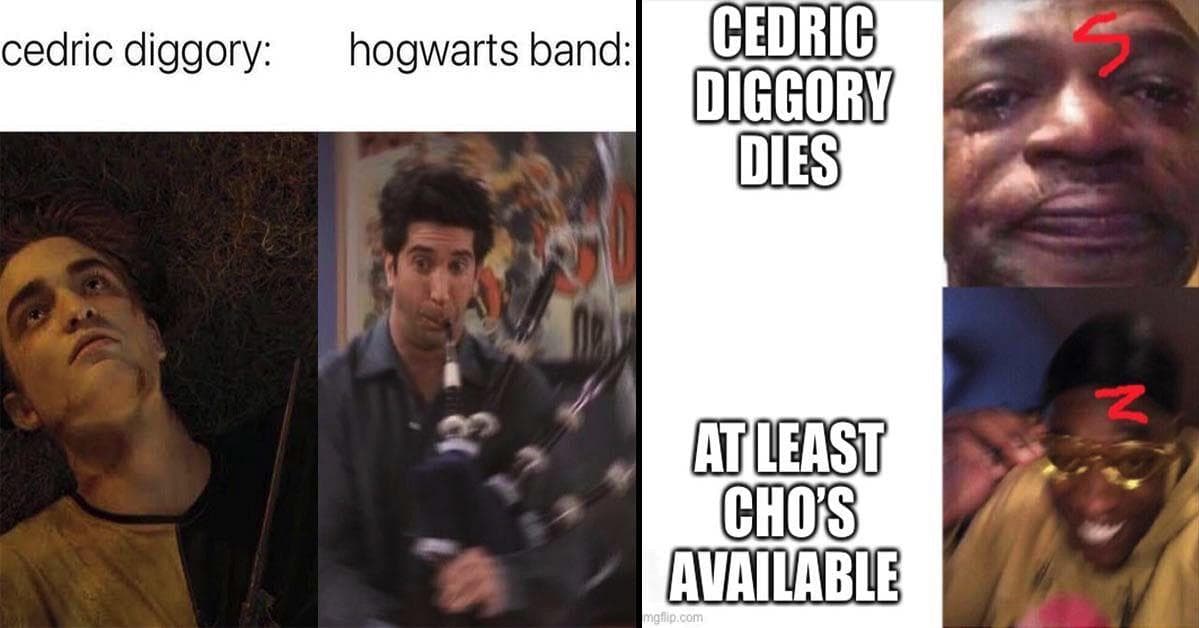 15 Cedric Diggory Memes That Remind Us Why He’s Our Favorite Hufflepuff