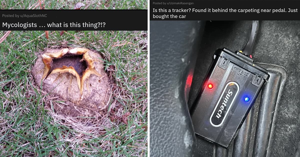 17 Times People Needed Help Identifying Mysterious Objects And Found ...
