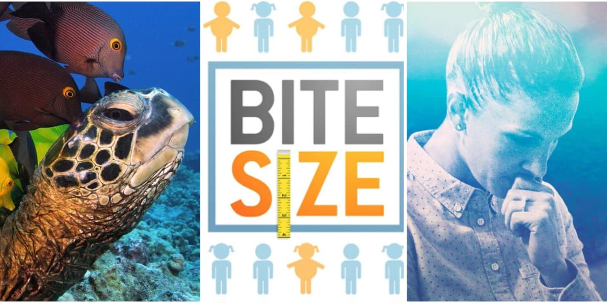 The Best Documentaries About Transformation, Ranked