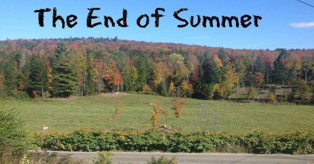 Summer Is Ending: Funny Images, Memes