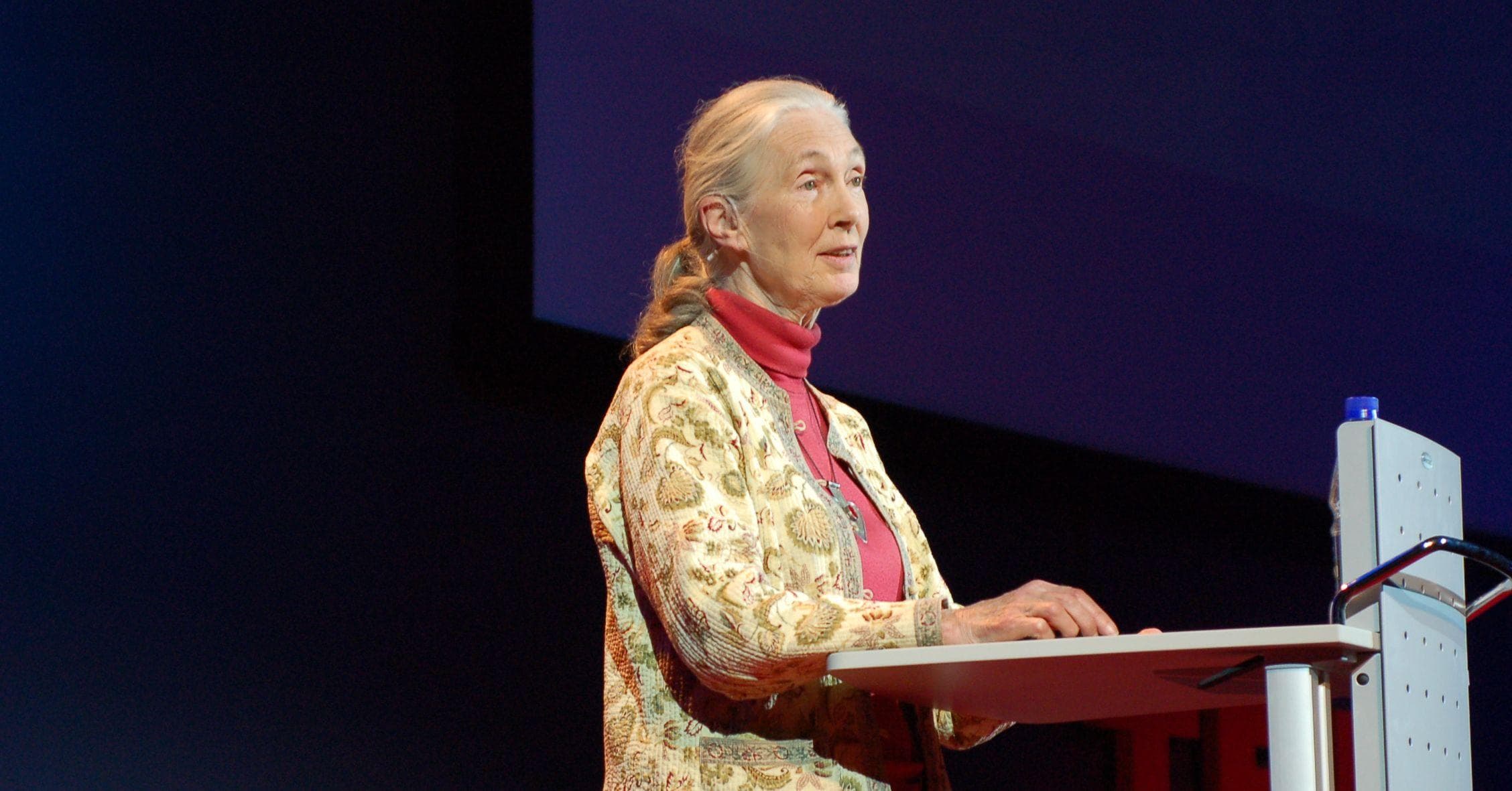 Celebrities Who Turned 85 In 2019 & Famous People Born In 1934