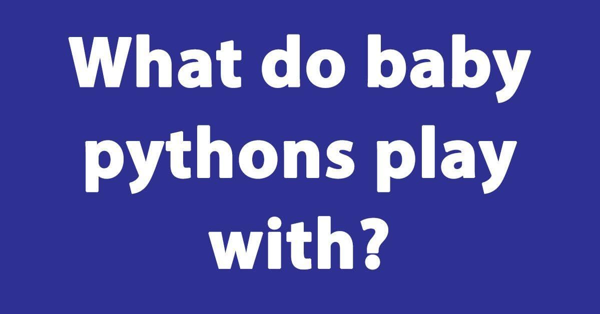 The 29 Best Baby Jokes, Ranked