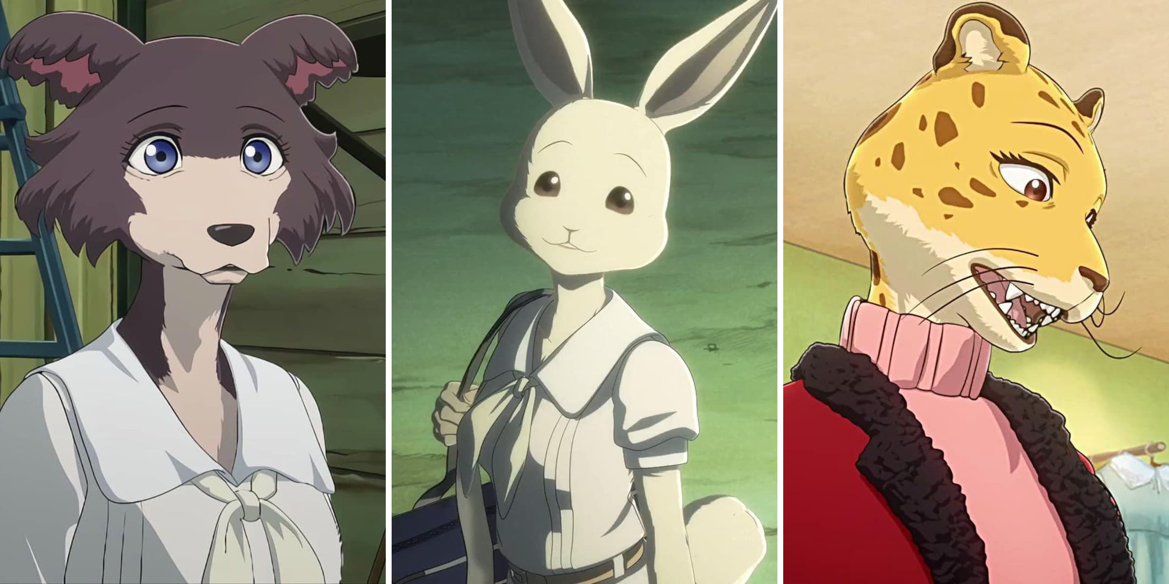 The 10 Best Female Characters From ‘Beastars,’ Ranked By Fans