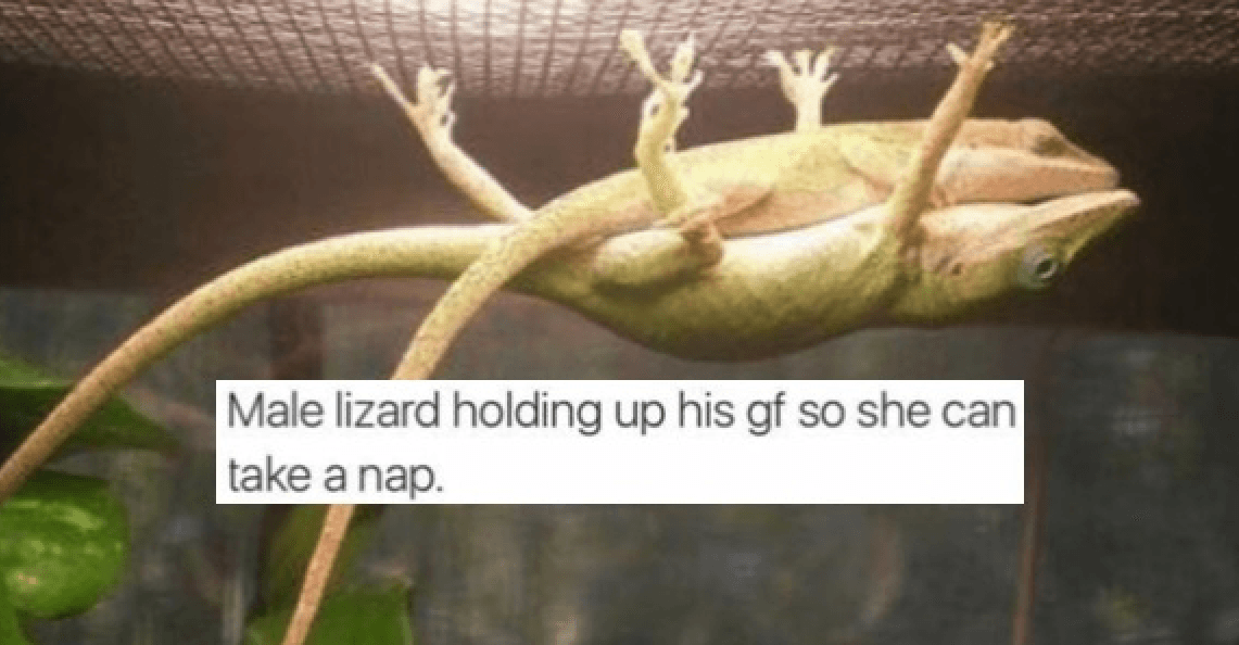 10 Photos That Prove Chivalry Is Not Dead