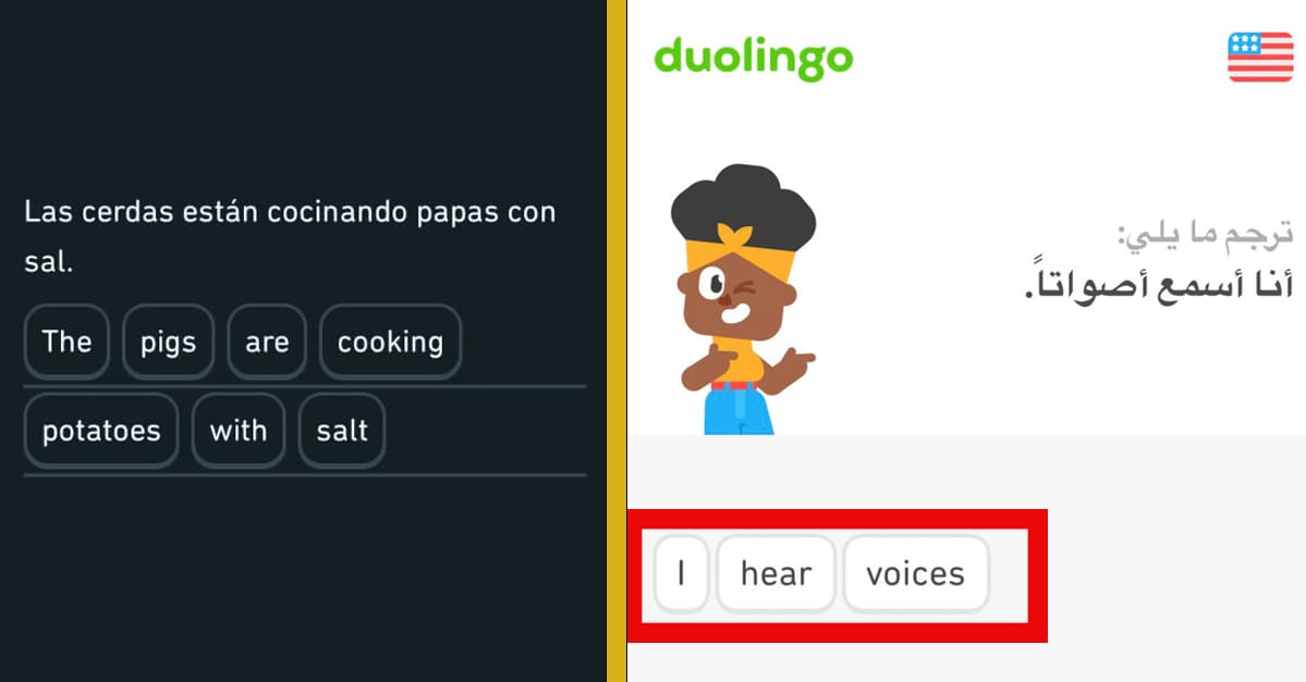 24 Oddly Specific Duolingo Phrases We Hope We Never Have To Use While ...