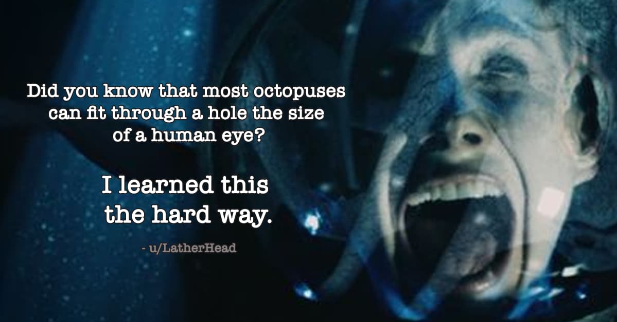 18 Of The Scariest, Most Messed-Up Two-Sentence Horror Stories We Found ...