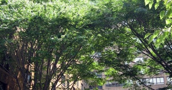 Famous Alumni of New York University School Of Law | Celebrities Who ...