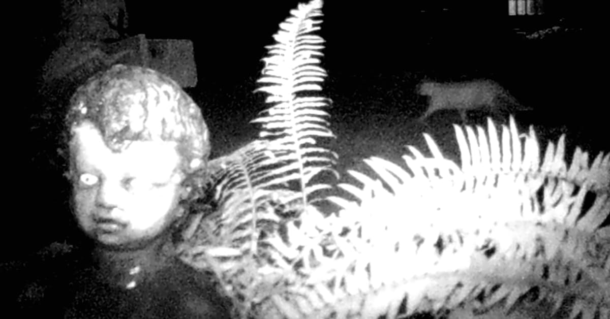 Unsettling Images lists at Ranker - the ultimate source for hundreds of ...