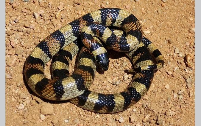 The 30 Best Songs With Union in the Title, Ranked By Votes