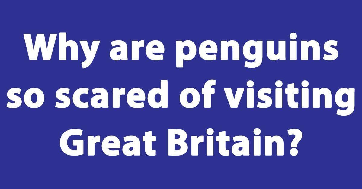 The 23 Best British Jokes, Ranked