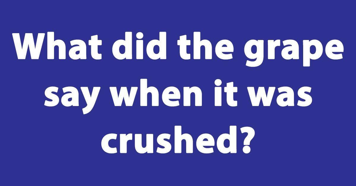 The 21 Best Wine Jokes, Ranked