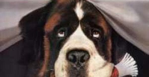 Beethoven Movie Cast