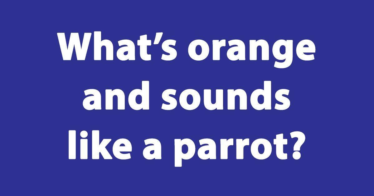 The 23 Best Orange Jokes, Ranked