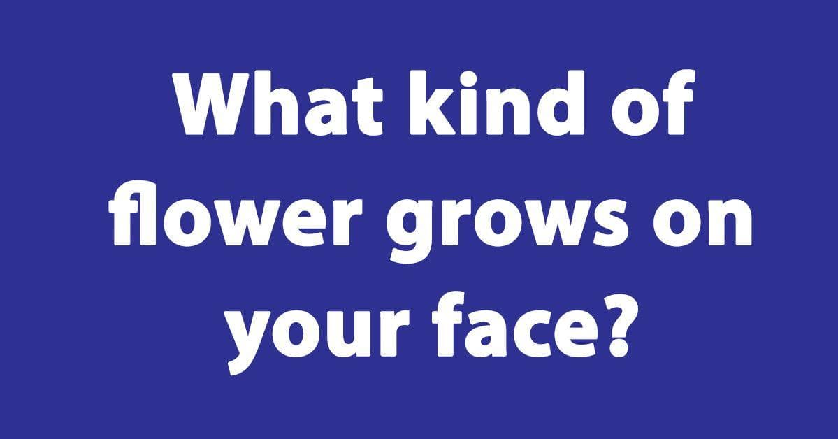 The 22 Best Flower Jokes, Ranked