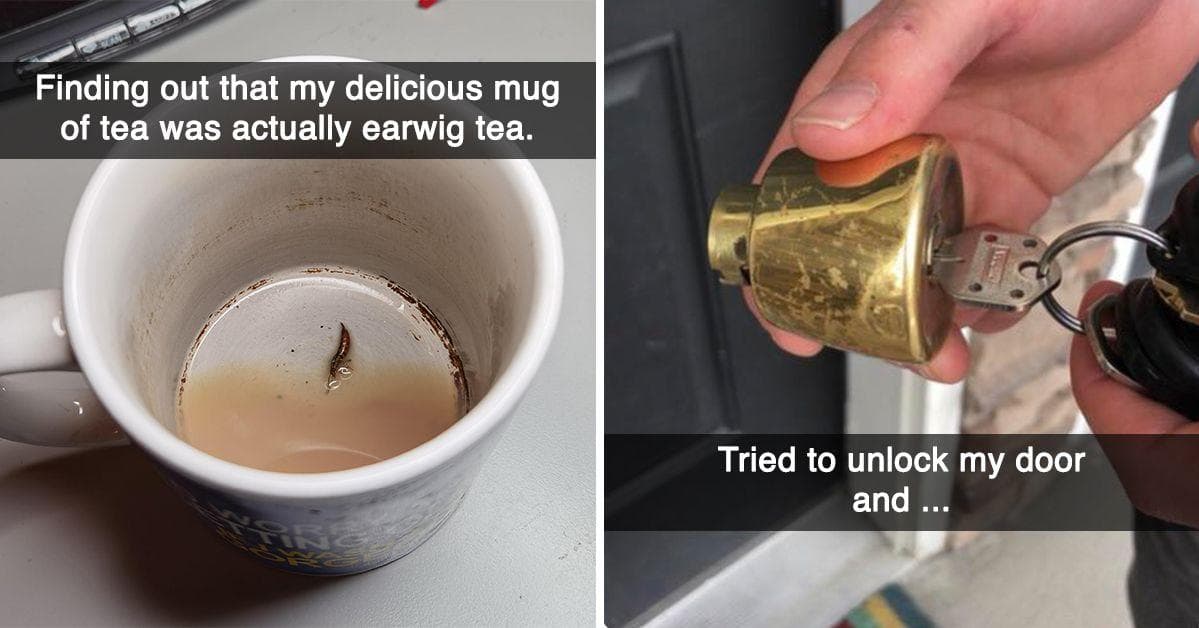 The Most Mildly Infuriating Moments We Found On The Internet This Week