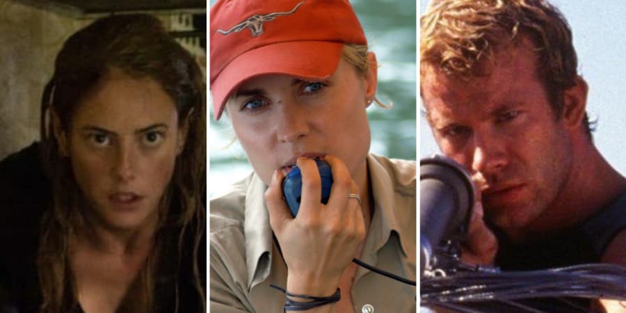 17 Movies Like 'Bears on a Ship,' Ranked By Fans