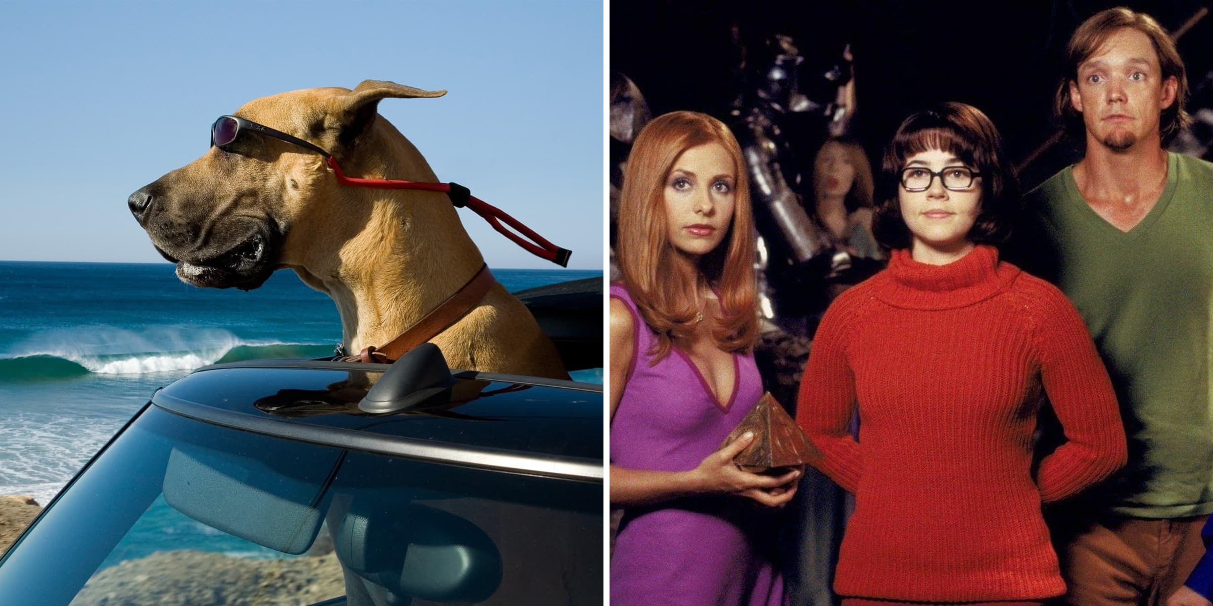 The 5 Best Movies With Great Danes (Including The Friend)