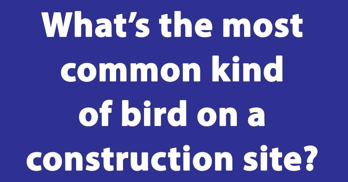 The 25 Best Construction Jokes, Ranked