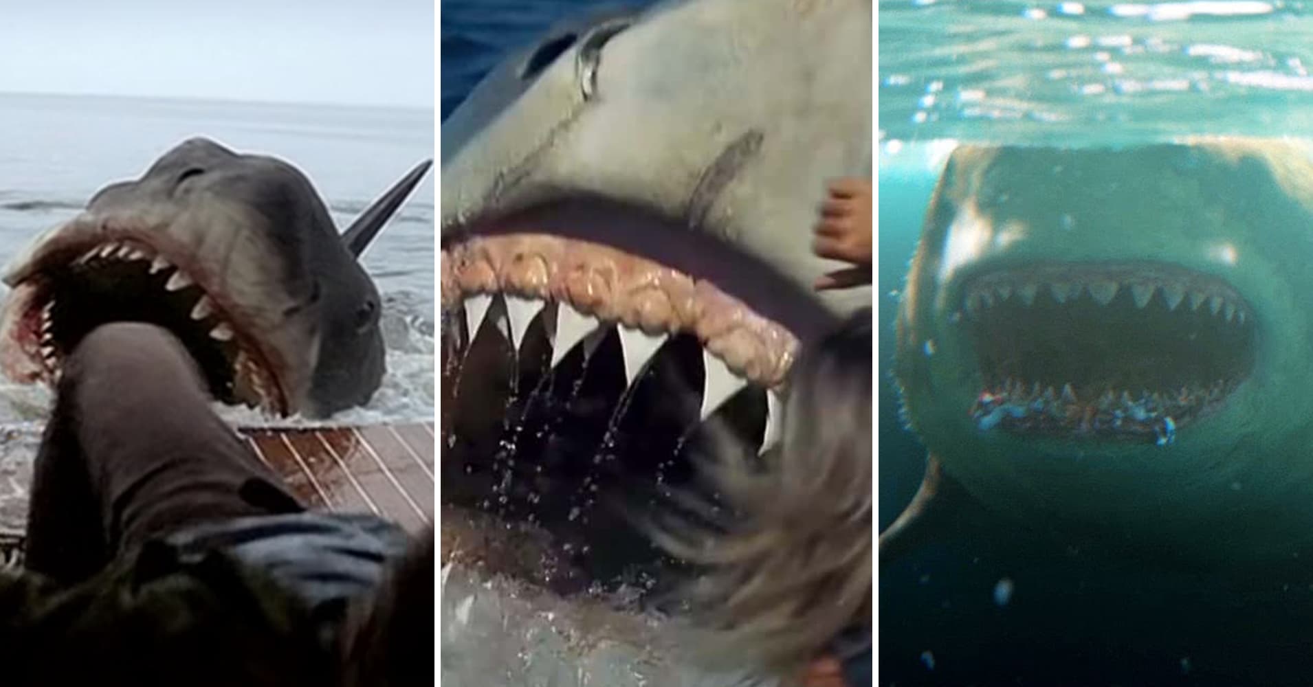 worst shark attack documentary