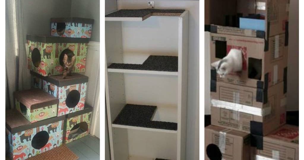 Things Cats Love | Cat Toys from Everyday Objects