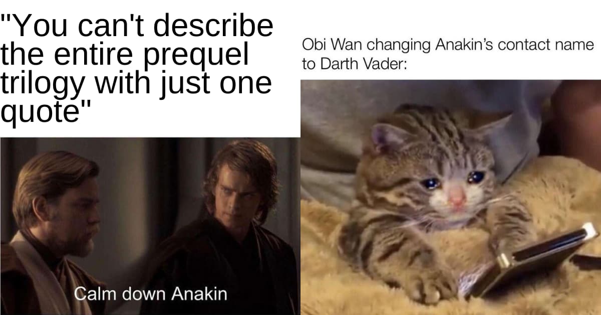 22 Obi-Wan & Anakin Memes For Prequel Fans Who Want To Laugh (And Maybe ...