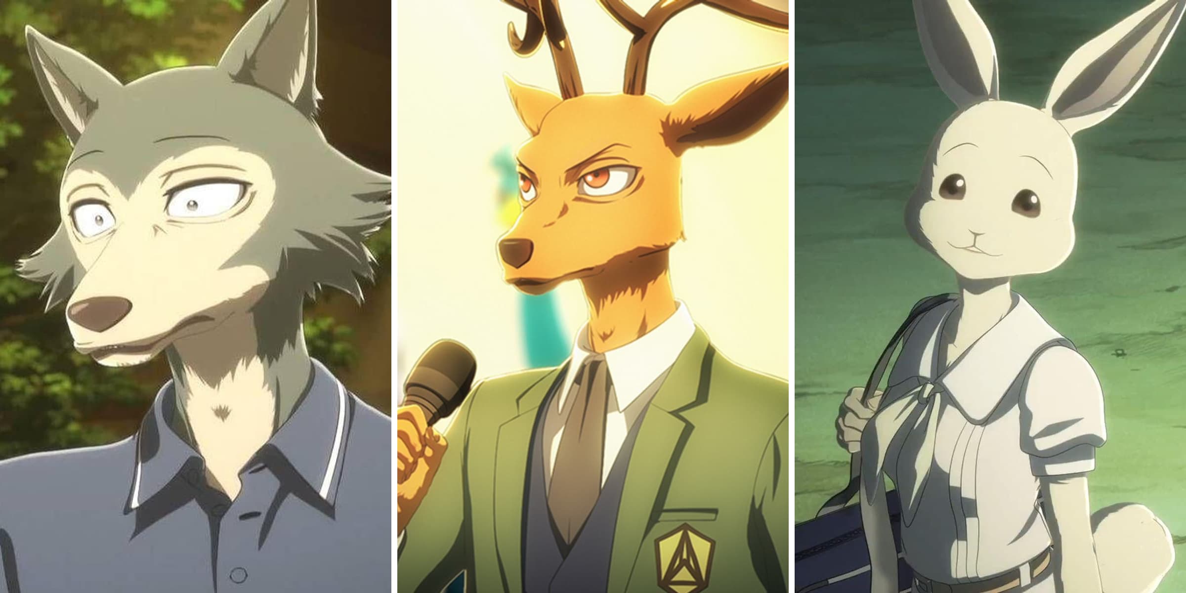 Every Major ‘Beastars’ Character's MBTI Personality Types