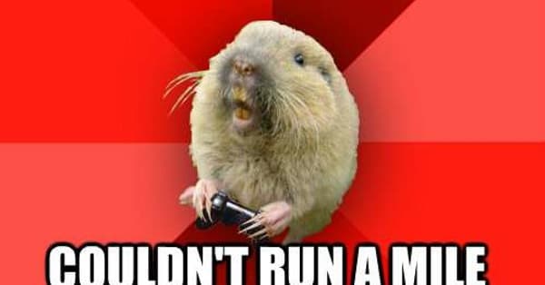 Gaming Gopher: The 50 Greatest Gaming Gopher Memes