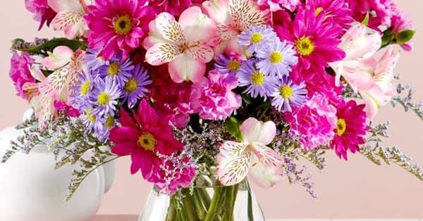 The Top 10 Favourite Flowers