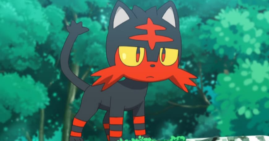 The 50 Best Litten Nicknames, Ranked By Pokémon Fans