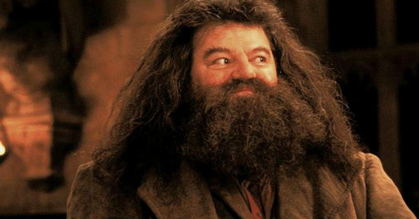 15 Interesting Hagrid Fan Theories That We Really Want To Believe