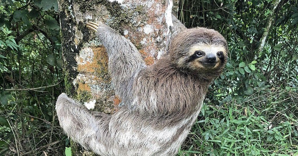 Weird Trivia Facts That Are Totally True