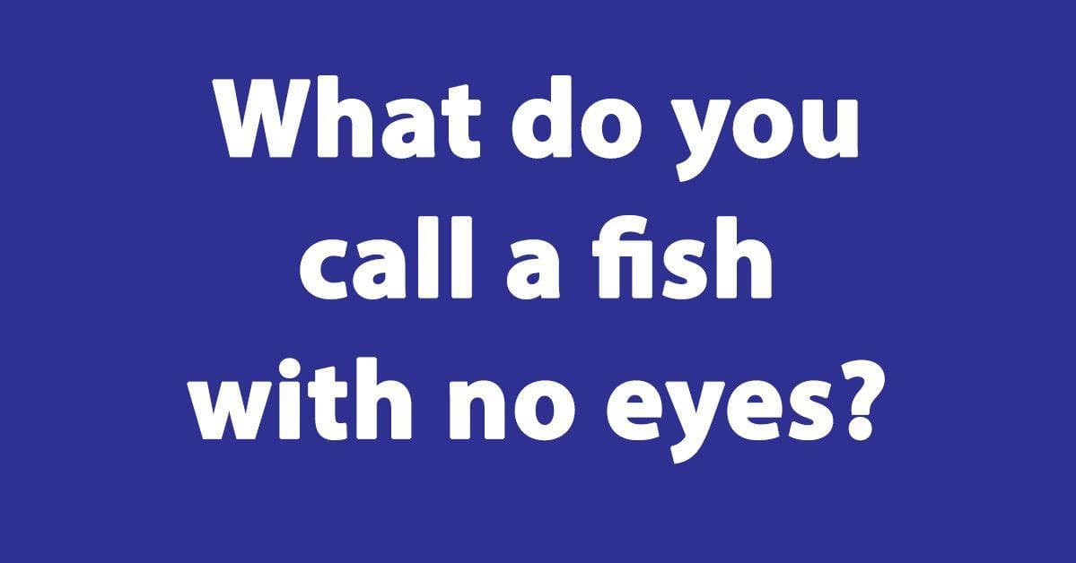 The 25 Best Horrible Jokes, Ranked