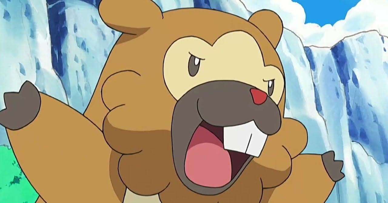 The 50 Best Bidoof Nicknames, Ranked By Pokémon Fans