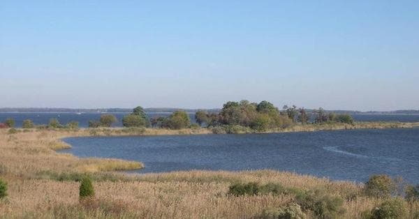 Movies Filmed in Maryland | List of Films Shot in Maryland