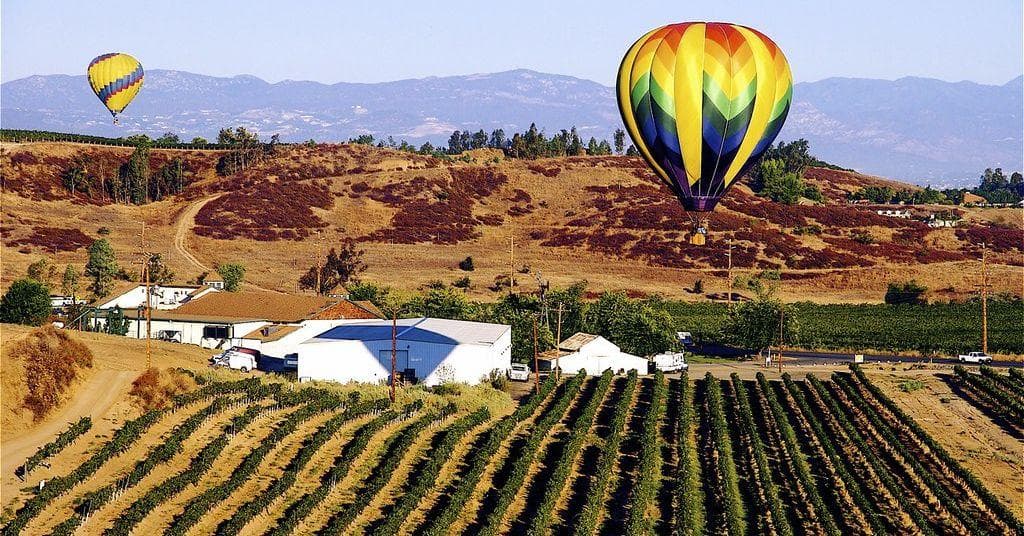 The Best Wineries in Temecula, California for Wine Lovers, Ranked