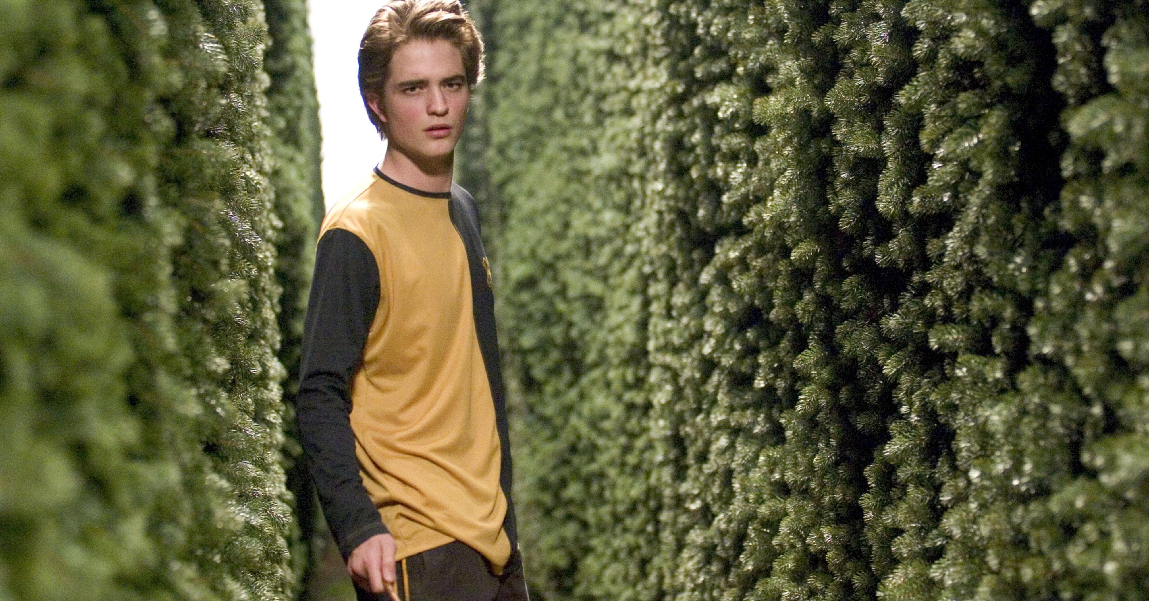 Things You Didn't Know About Cedric Diggory