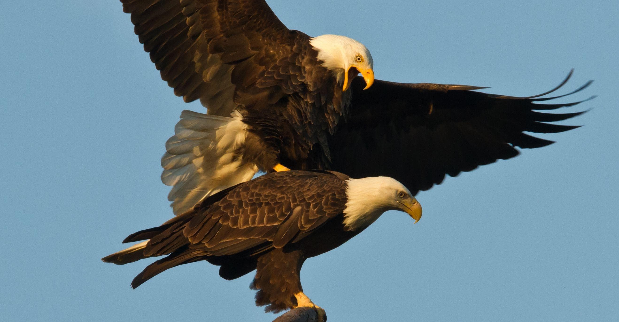 List of Things America Was the First to Do