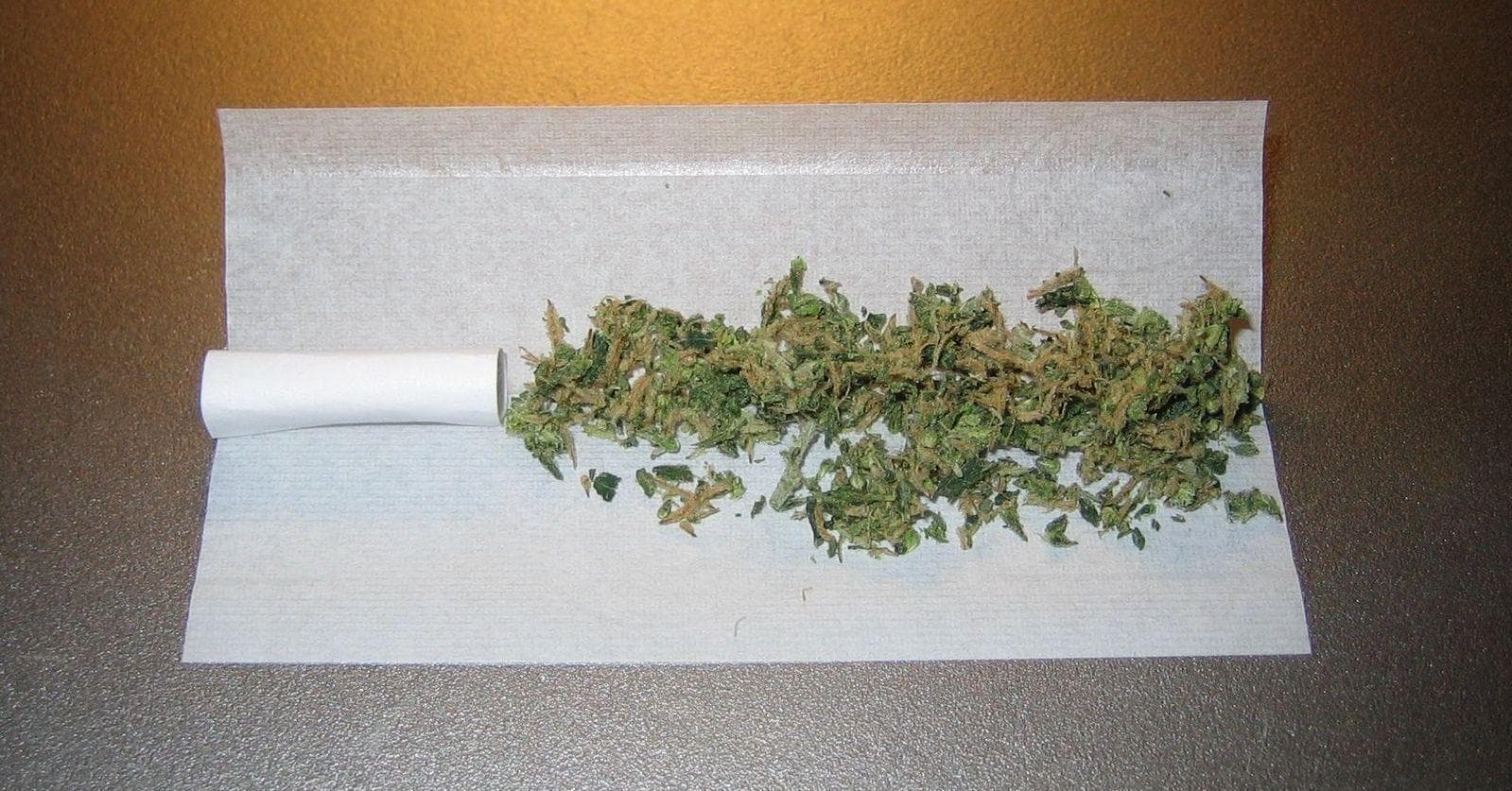 A Breakdown of Cannabinoid Hyperemesis Syndrome and What Causes It