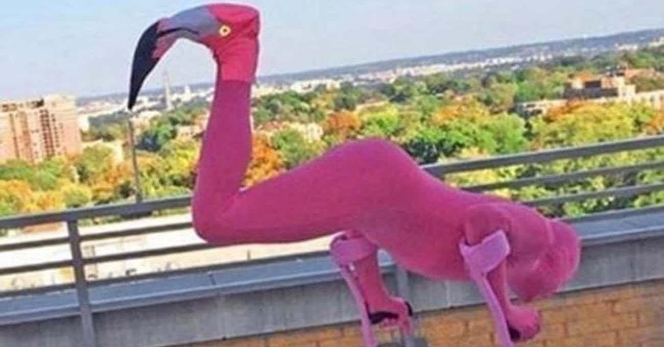 22 Deeply Cursed Images We Found This Week We Wish We Could Unsee