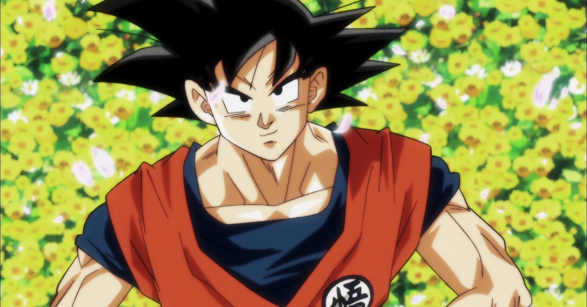 19 Hilarious Goku Memes We Laughed Way Too Hard At