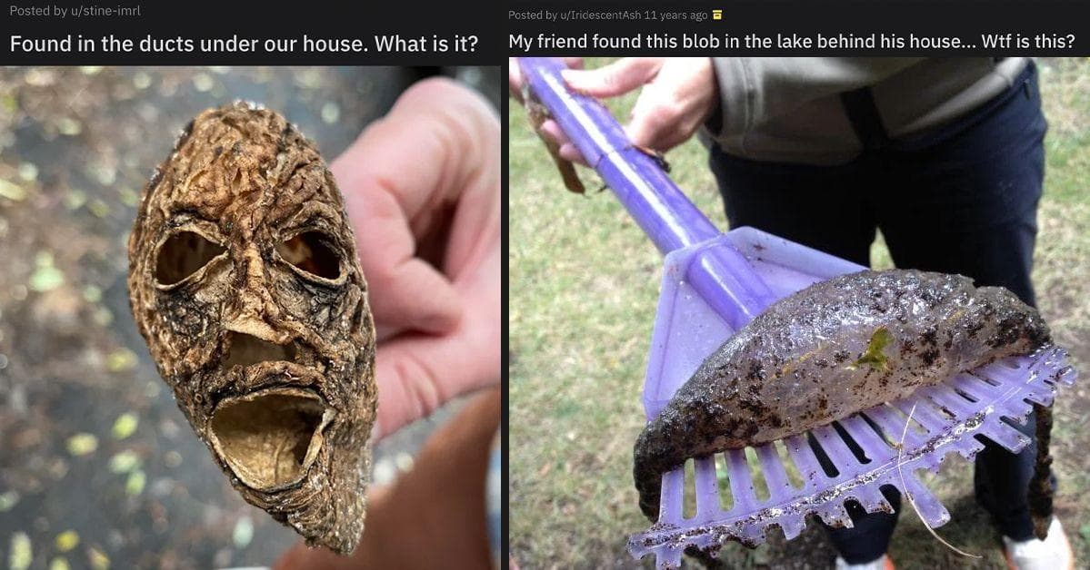 People Are Asking For Help Identifying Odd Objects, And It's Truly ...