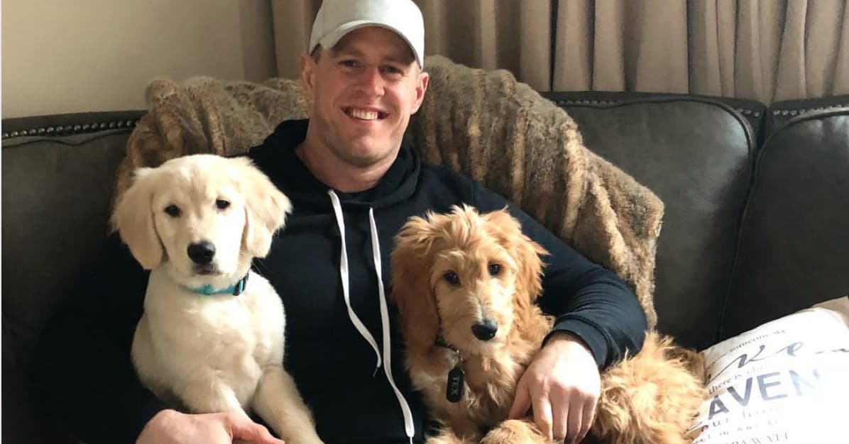 17 Adorable Pics Of NFL Players With Small Dogs, Ranked By Cuteness