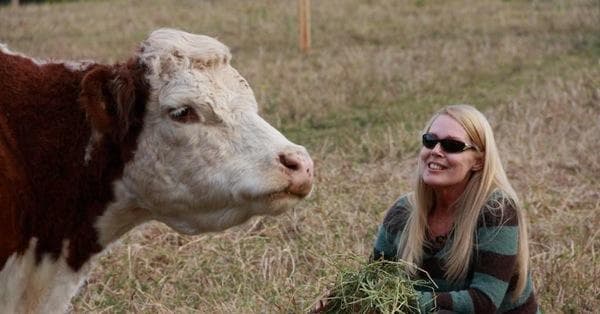 Chances Cast | List of All Chances Actors and Actresses